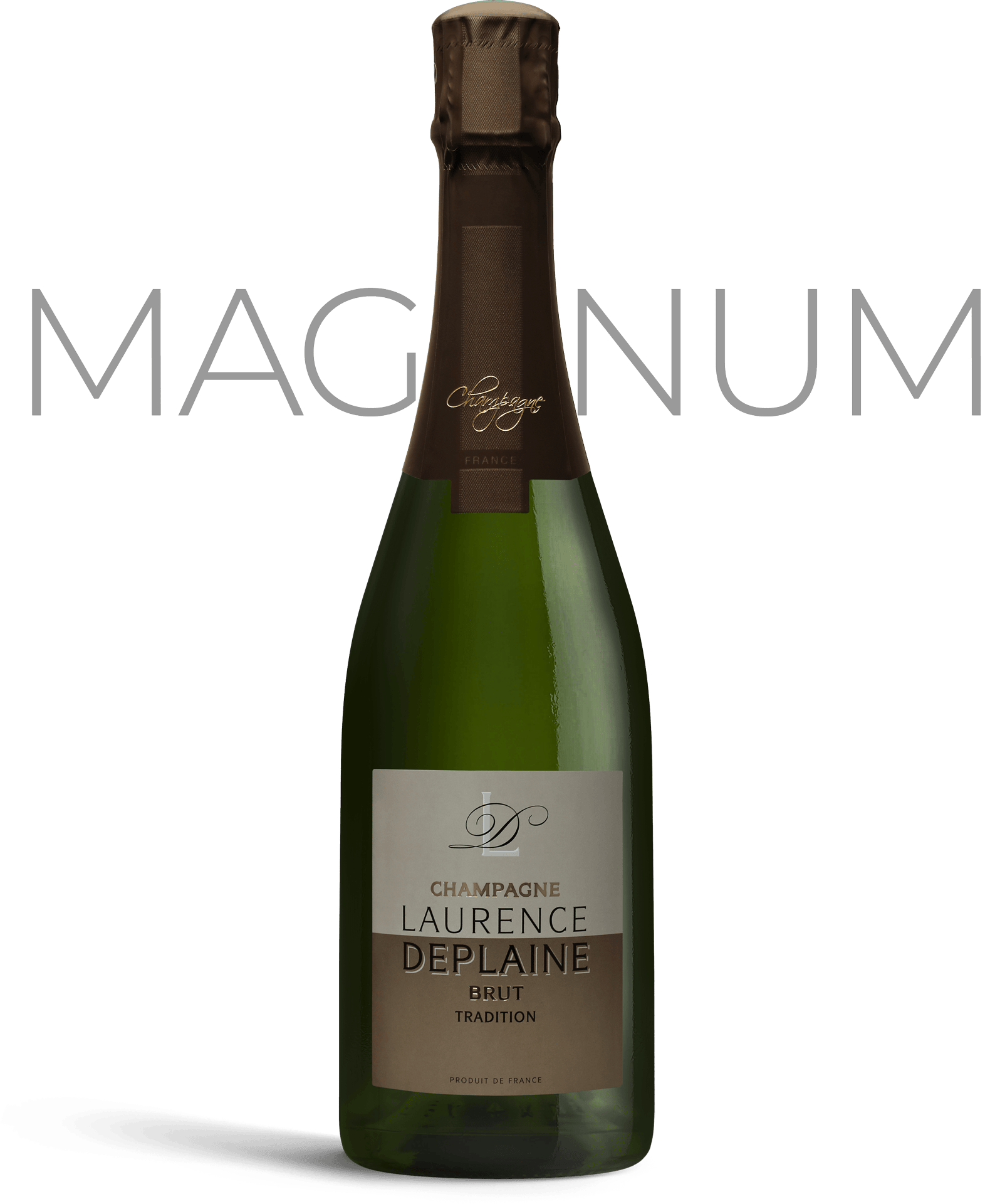 Champagne brut - cuvée tradition - carton de 1 magnum